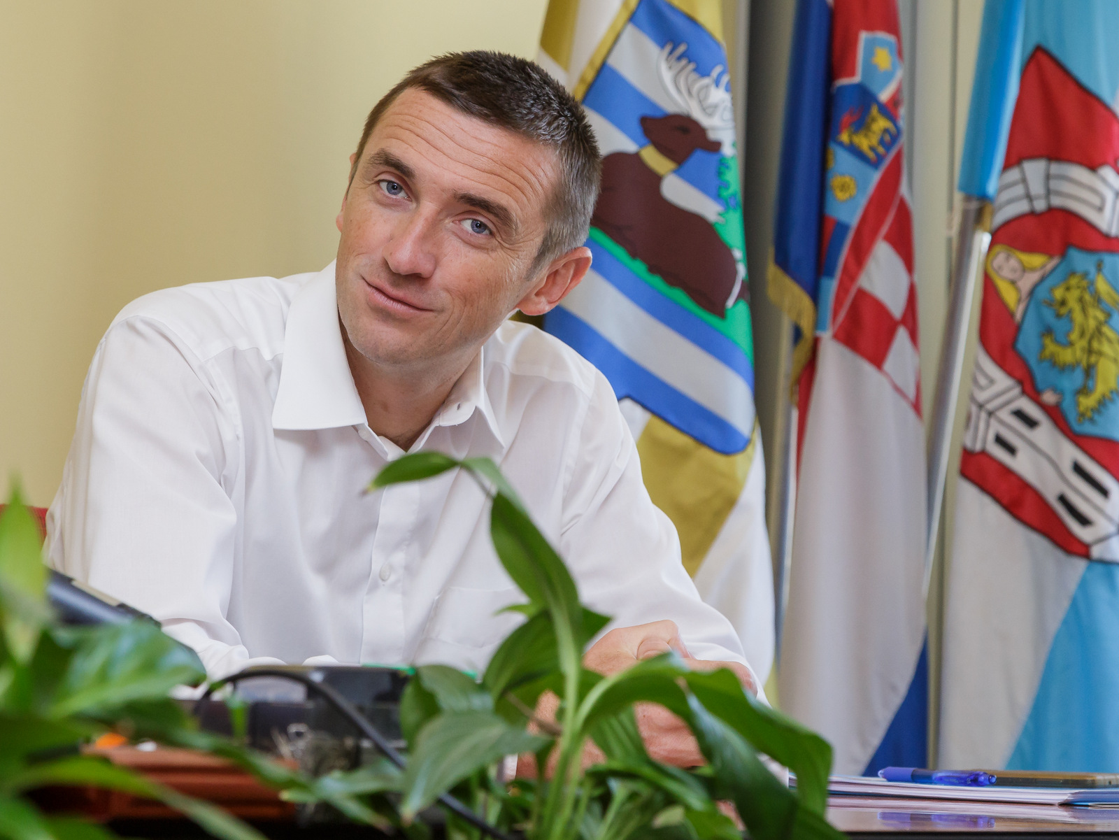 Grad Vukovar - Gradonačelnik